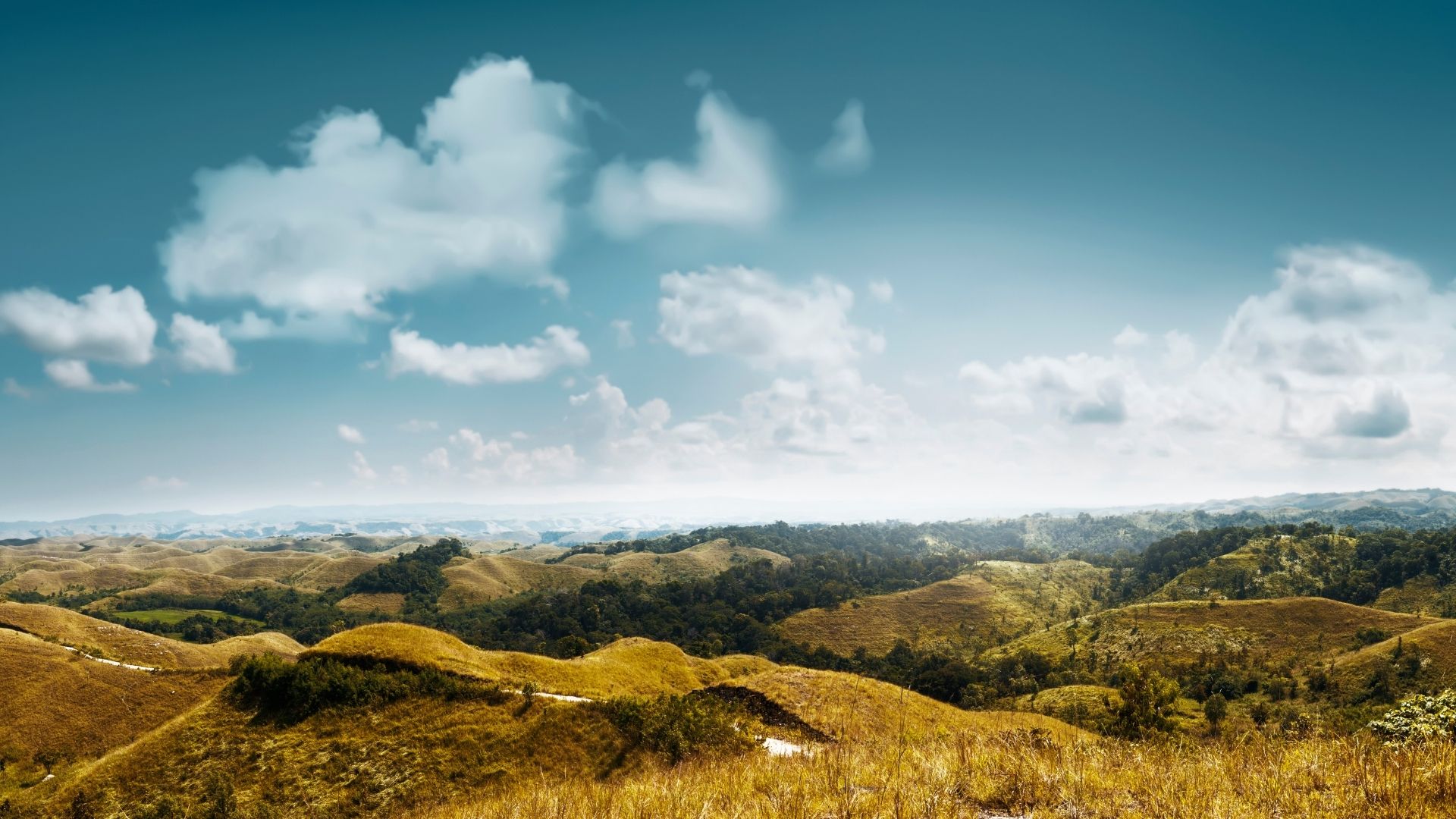 Explore the Beauty of Sumba Island - Sierra Travel